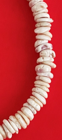 Necklace: White Surfer's Hand-Strung Giant Puka Shell Model 15 ...